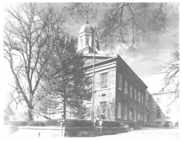 The Fighting Timanuses | Your Ancestors Demystified